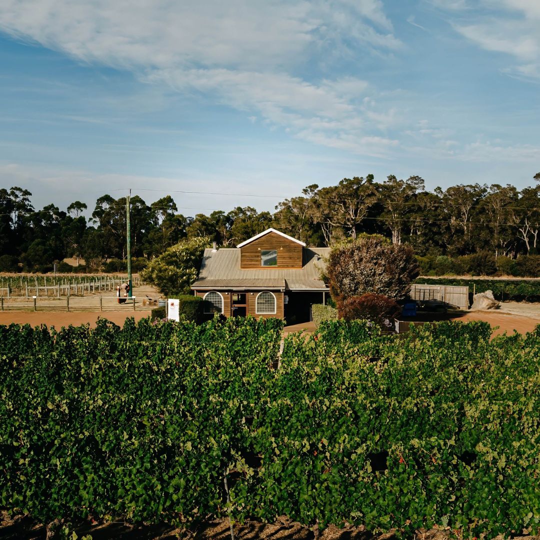 Pixie Italian | Byron Bay